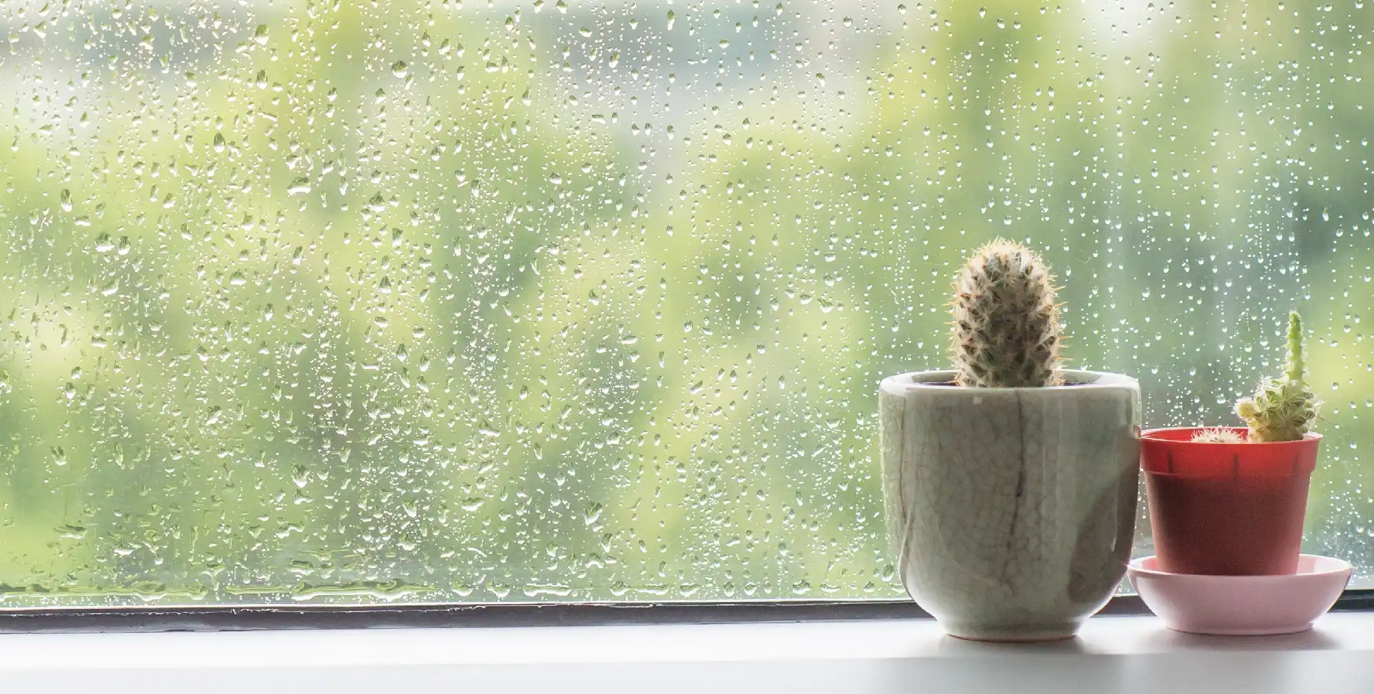 Storm Windows 🤔 What They Are & Why You Need Them